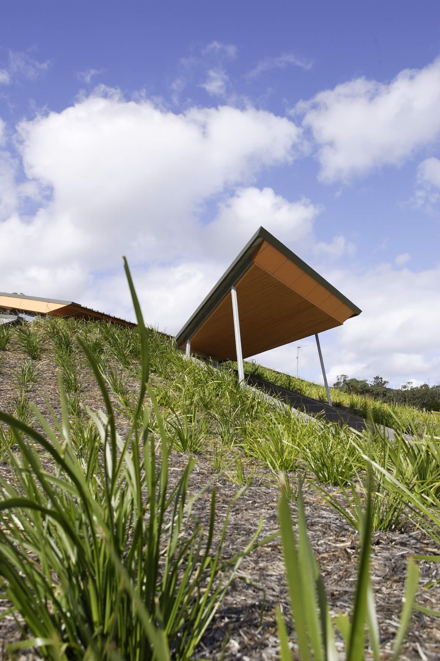 DELWP Anglesea Office and Depot Stages 1 & 2 - Foreground Architecture